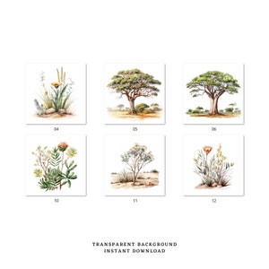 83 PNG, Animals and Plants of Africa Clipart,safari Animals PNG, Wild ...