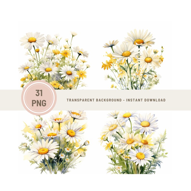 Wildflowers PNG Set Daisy Flowers Clipart Bundle Scrapbooking Junk ...