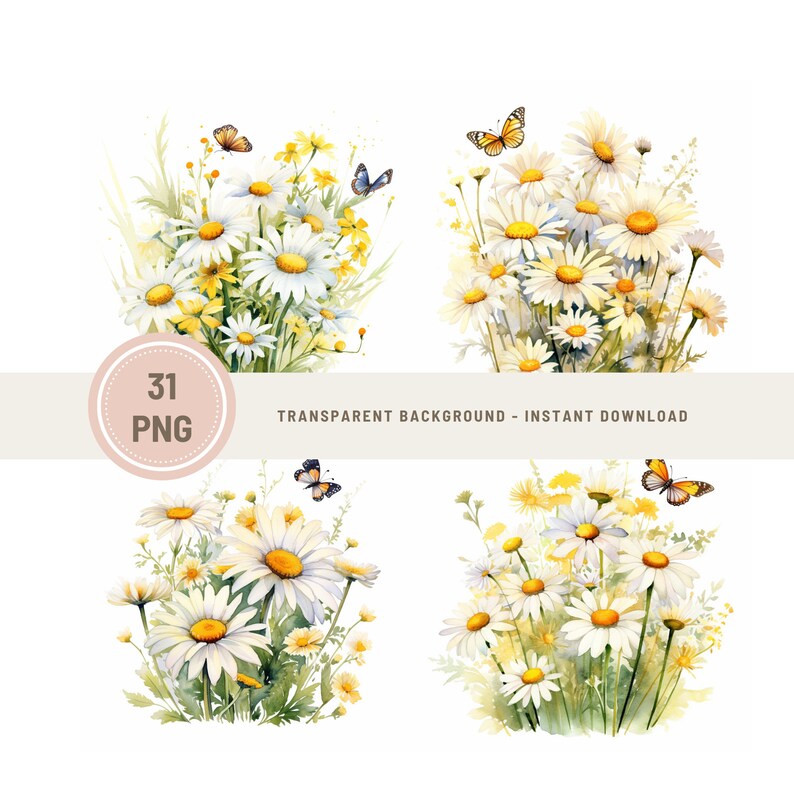 Wildflowers PNG Set Daisy Flowers Clipart Bundle Scrapbooking Junk ...