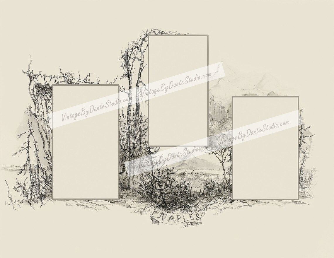 Royal Frames 20 Images DIGITAL DOWNLOADS Fine Detail India Ink Drawn ...