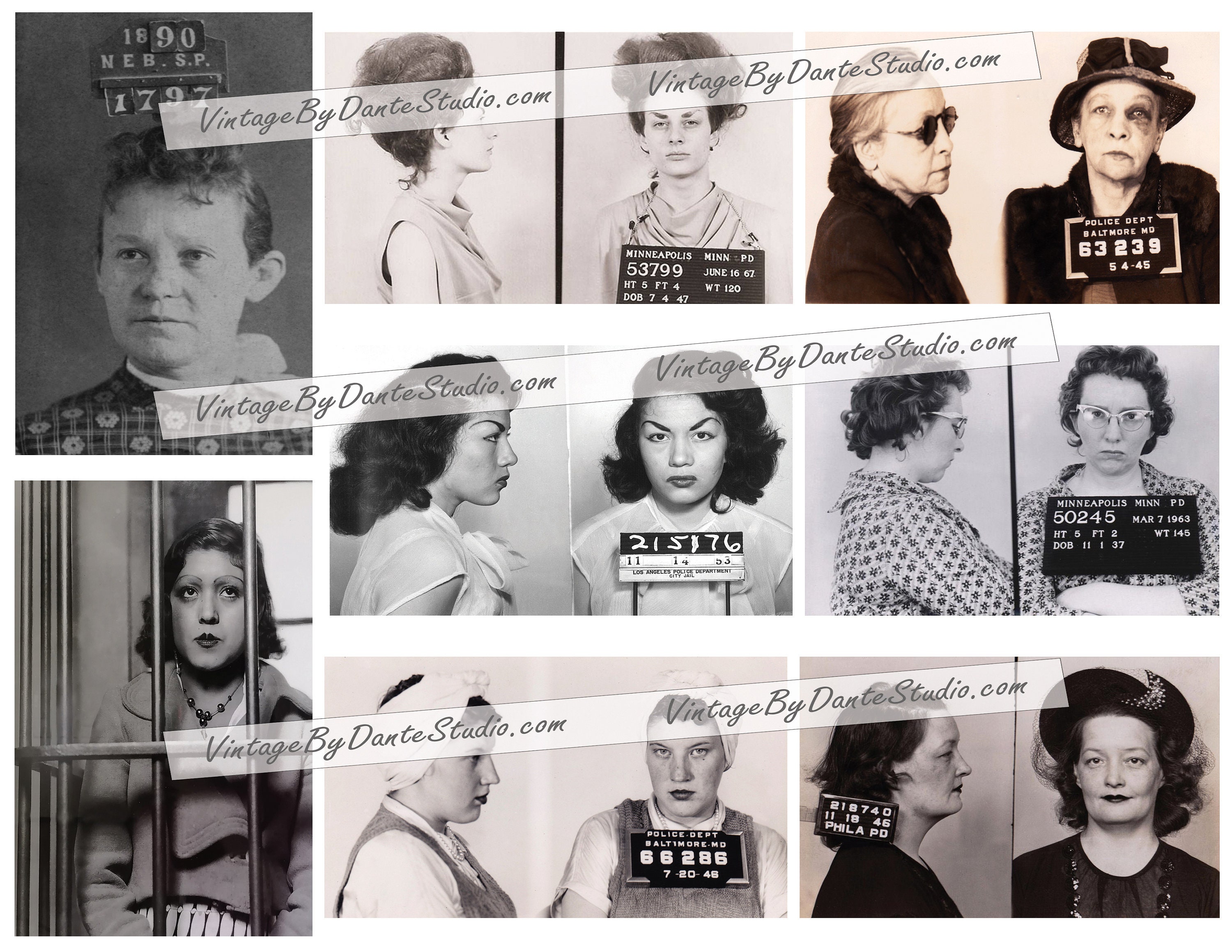 Miss Demeanor 100 Years of Mugshots DIGITAL DOWNLOADS - 12 Pages in 8.5 ...