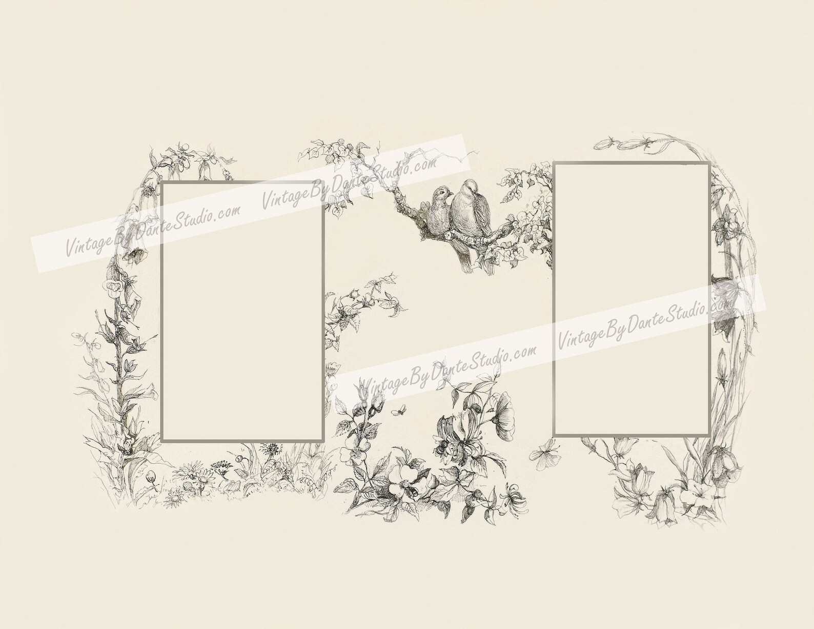 Royal Frames 20 Images DIGITAL DOWNLOADS Fine Detail India Ink Drawn ...