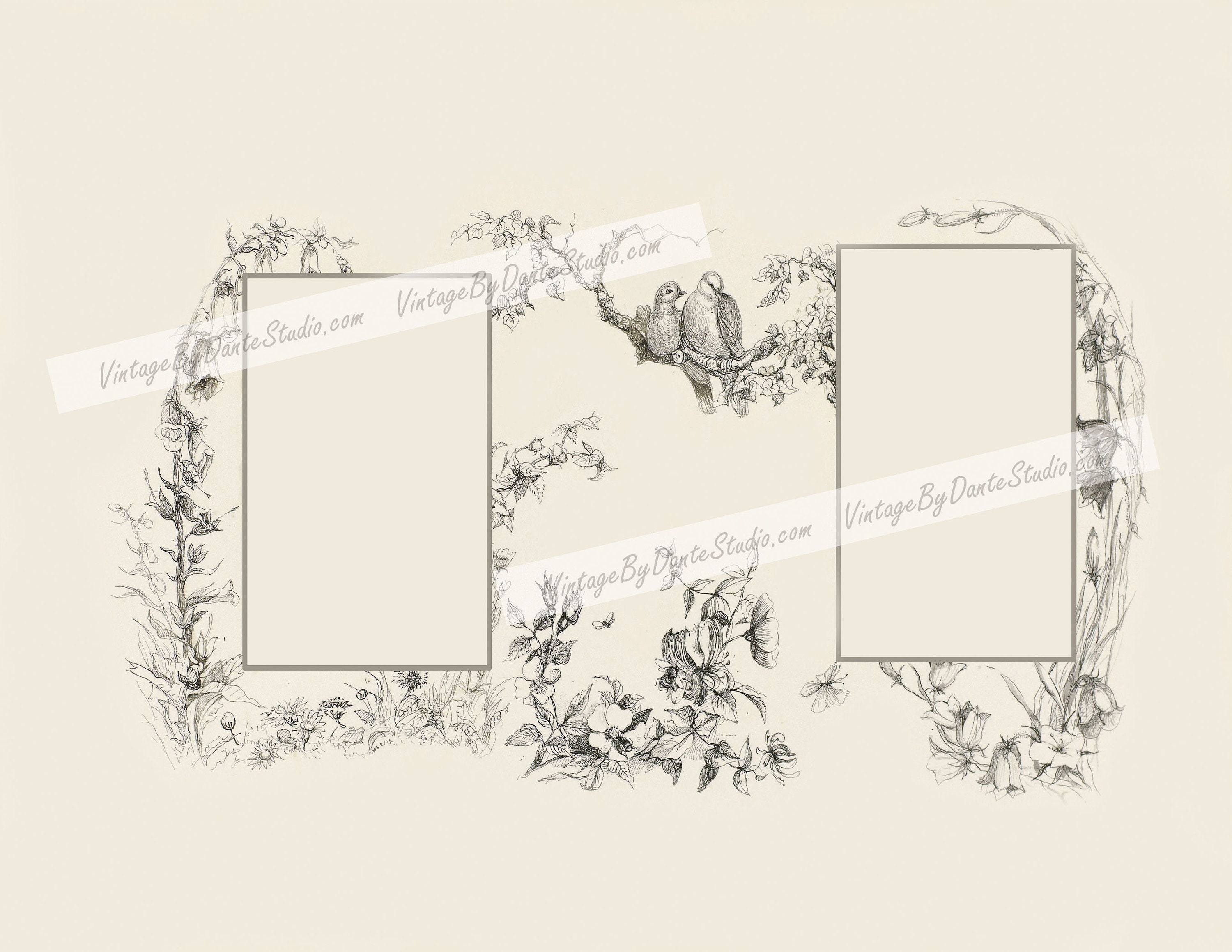 Royal Frames 20 Images DIGITAL DOWNLOADS Fine Detail India Ink Drawn Frames Collage Sheets ...