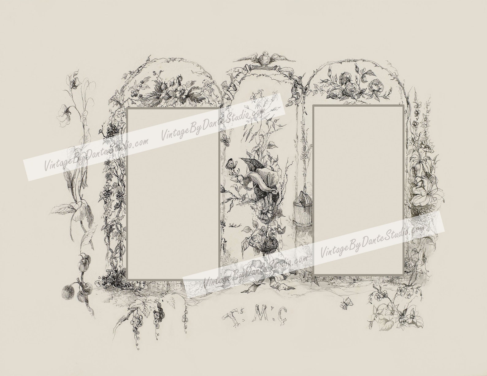 Royal Frames 20 Images DIGITAL DOWNLOADS Fine Detail India Ink Drawn Frames Collage Sheets ...