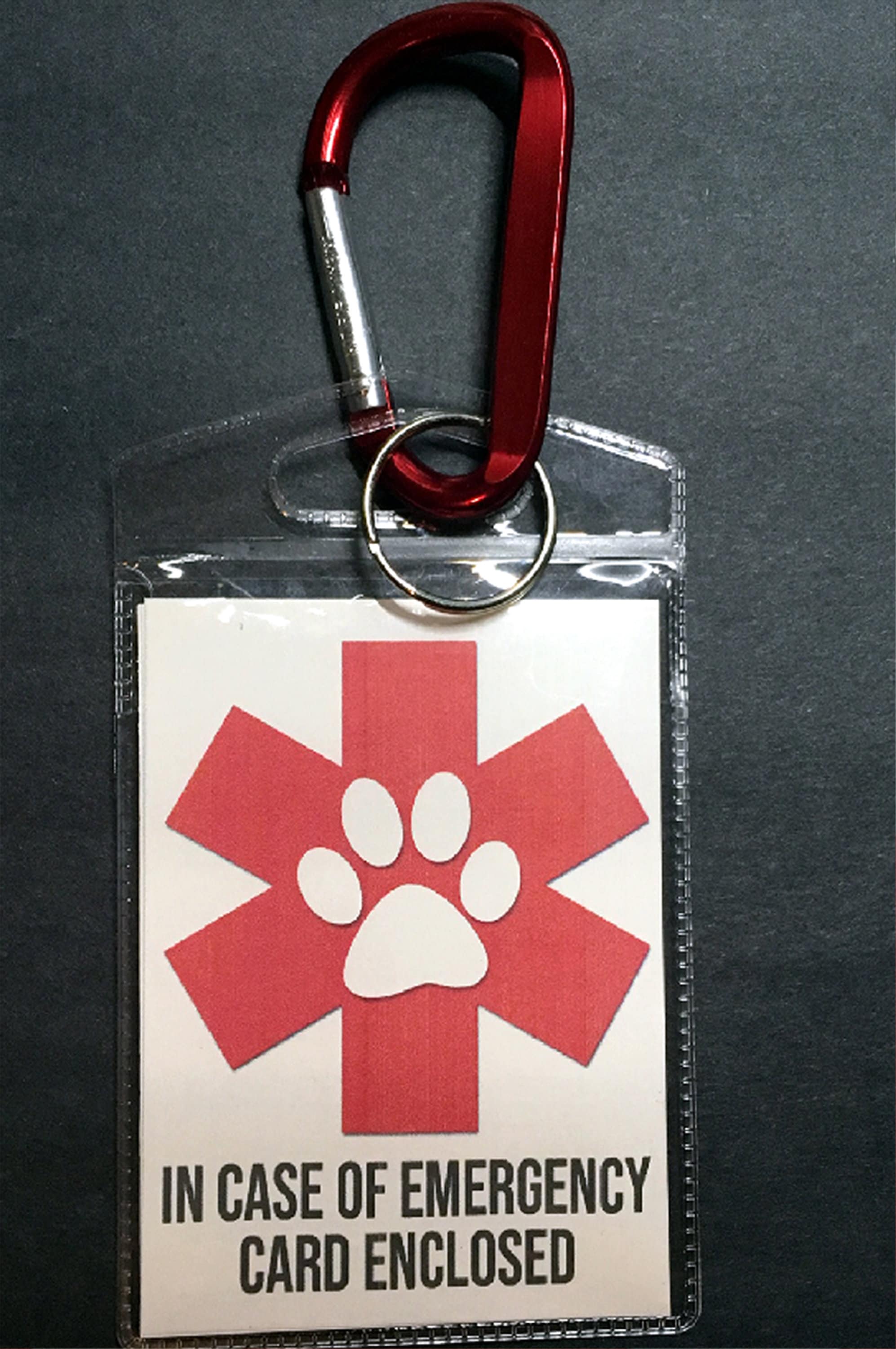 Dog Leash Pet Emergency Contact Card for Dog Lovers - Etsy