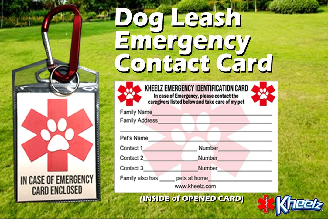 Dog Leash Pet Emergency Contact Card for Dog Lovers - Etsy