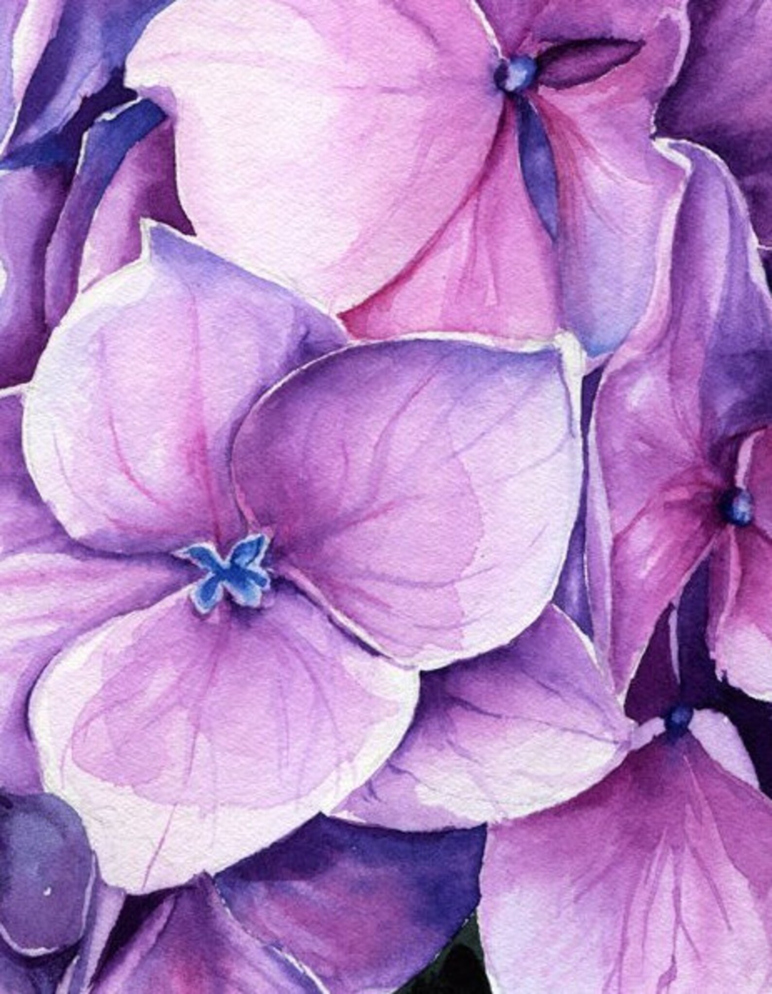 Flowers Original Watercolor Purple Flowers Canvas Art Floral | Etsy