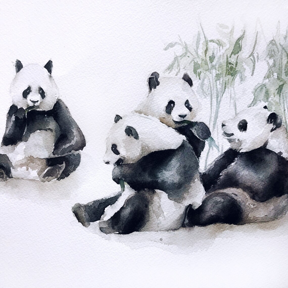Pandas Original Watercolor Art, Pandas Painting, Wild Life Painting ...