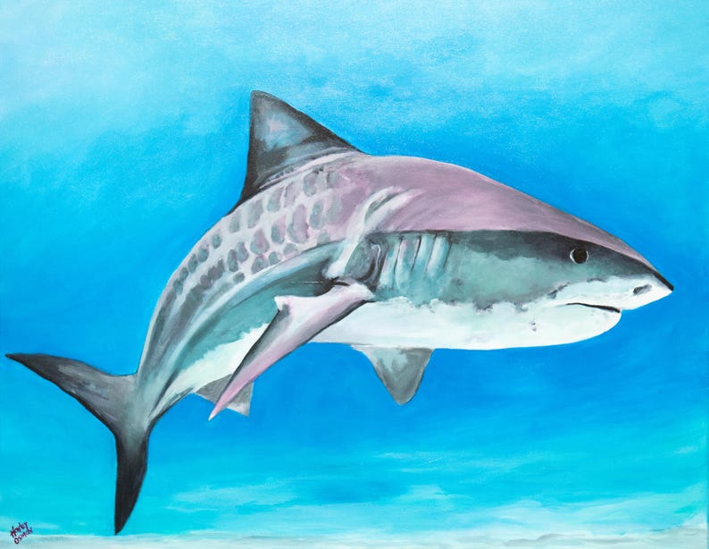 The Tiger Shark Print - Etsy