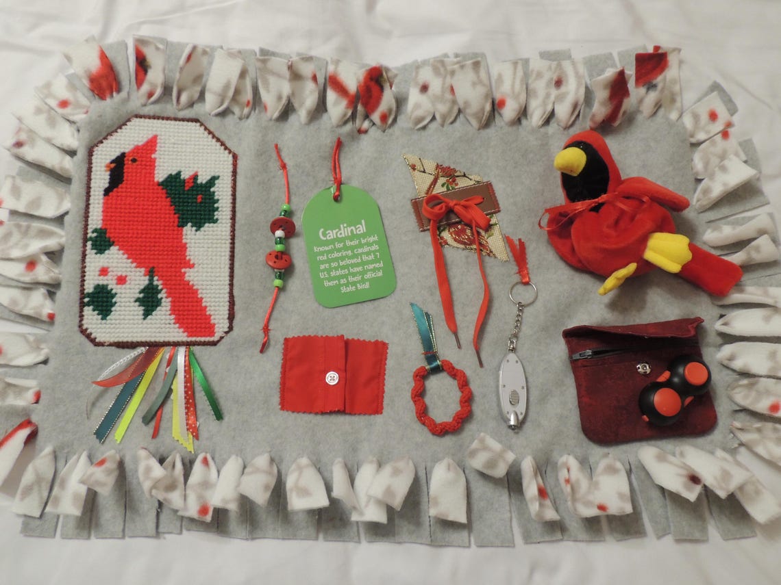 Fidget Mat Dementia BIRD Theme - Etsy