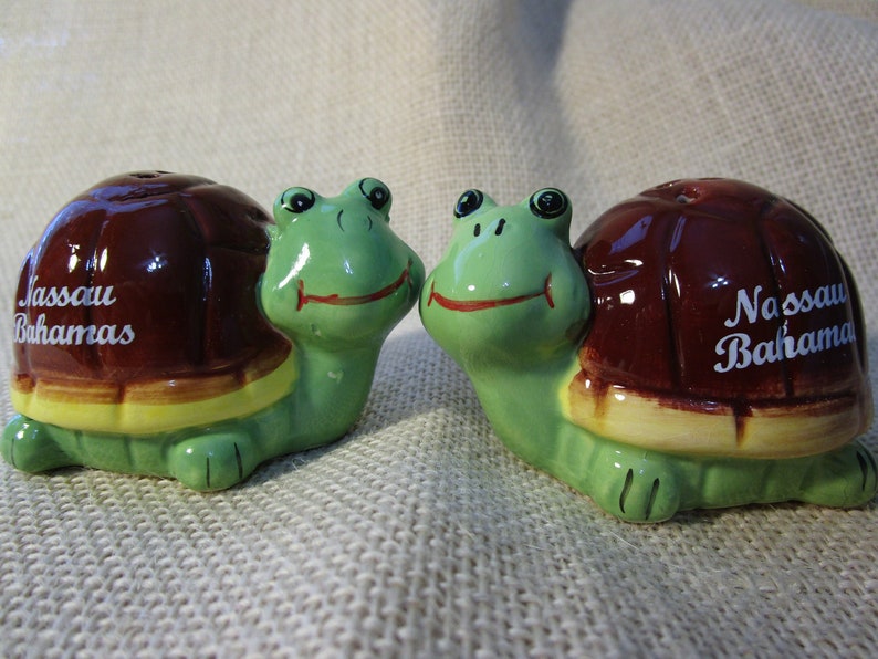 Sweet Turtle Salt and Pepper Shaker Set - Etsy