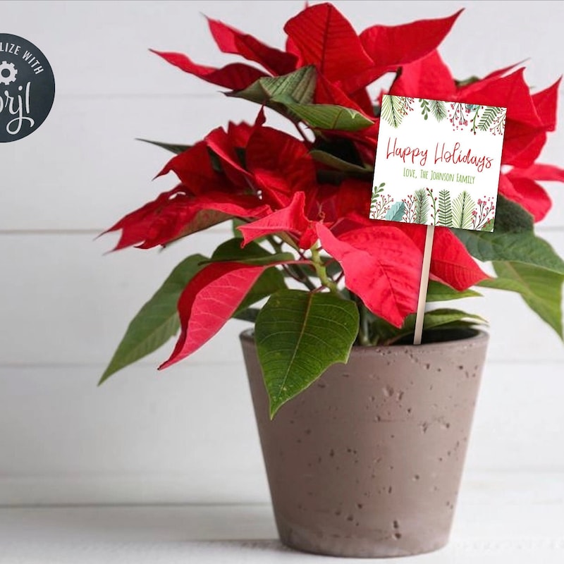 Winter Gift Tags - 60+ Gift Ideas for 2025