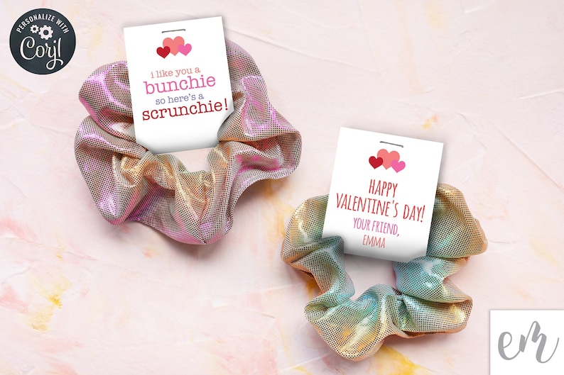 Valentine's Day Scrunchie Tag, I Like You a Bunchie, Cute Hair Tie Tag ...