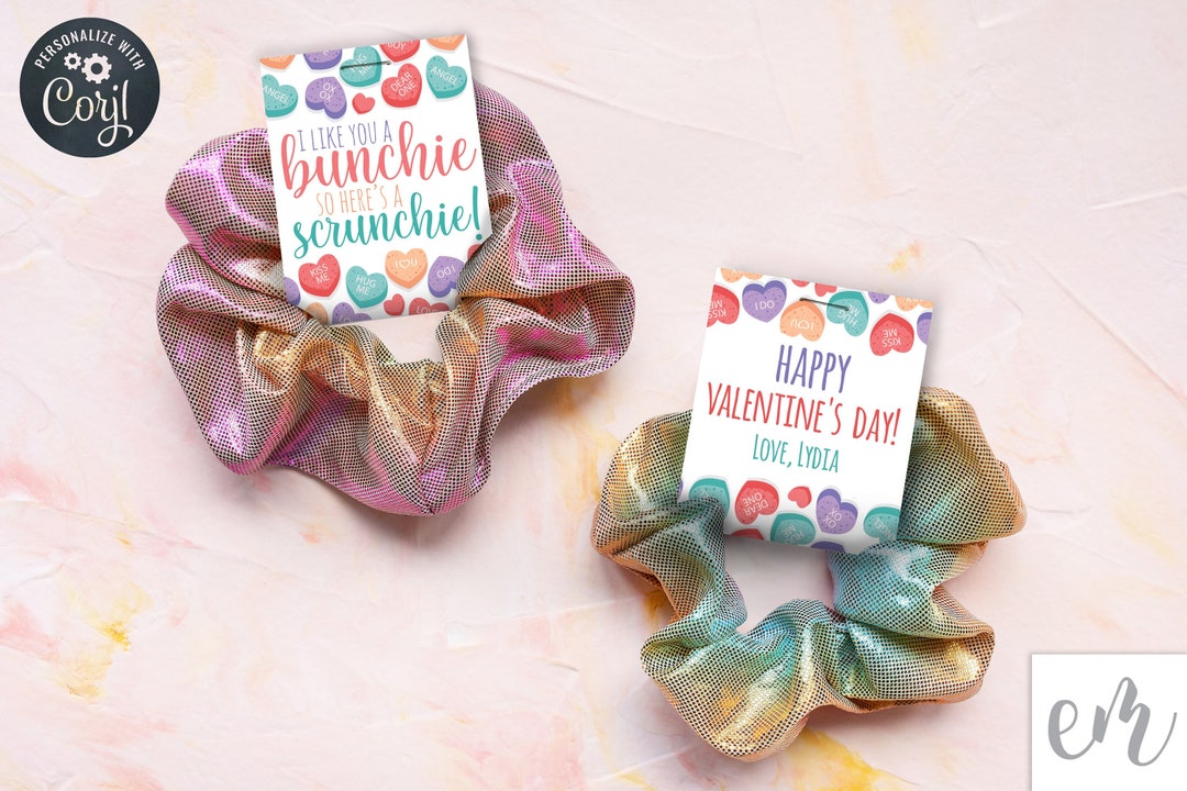 Valentine's Day Scrunchie Tag, I Like You a Bunchie, Cute Hair Tie Tag ...