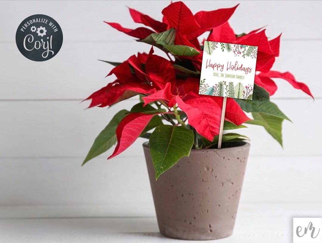 Poinsettia Plant Gift Tag -christmas Tag for Gifting -holiday Gift Idea ...