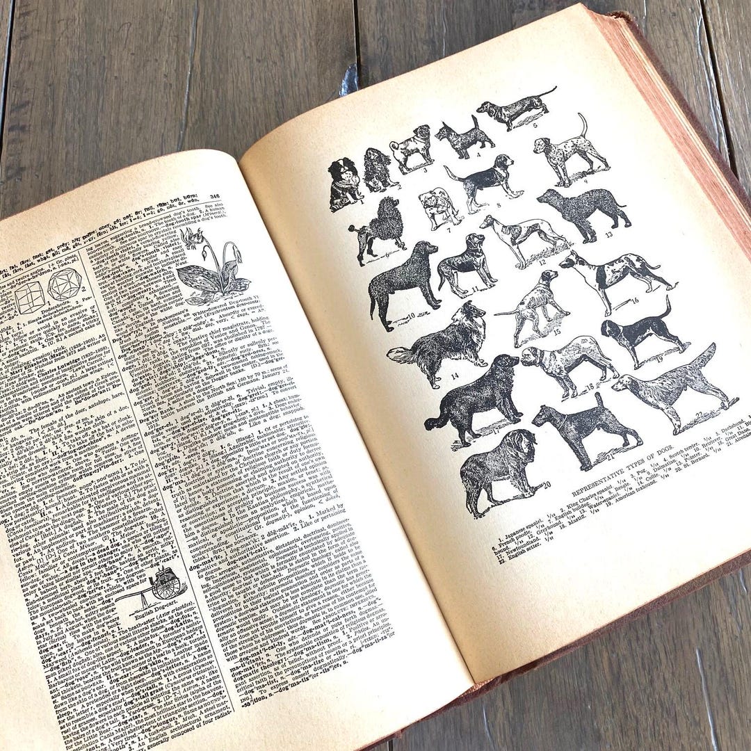 Antique Vintage Dictionary, Large 1943 Dictionary, Beautiful ...
