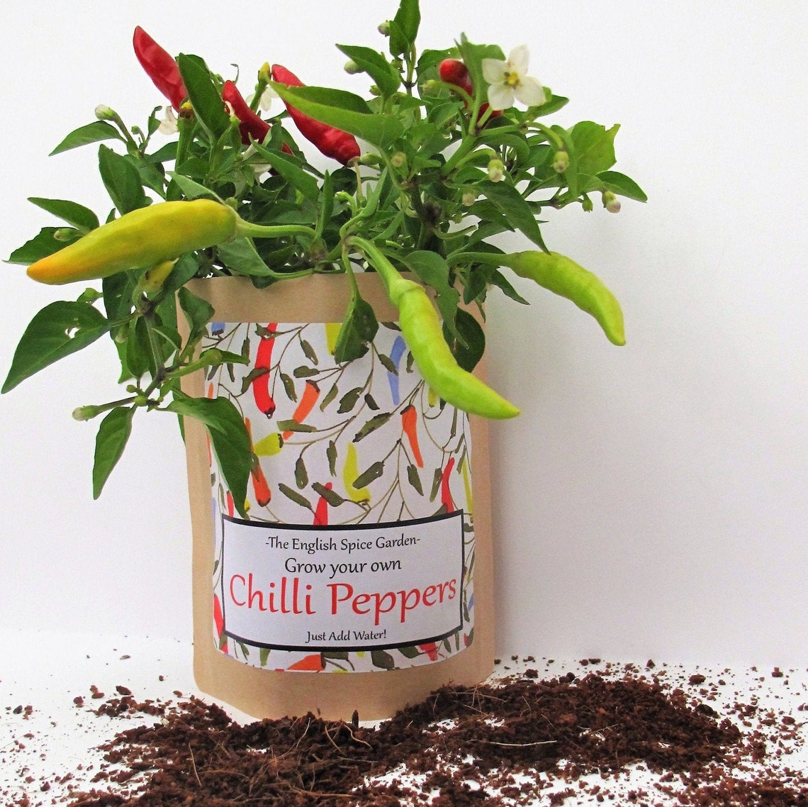 Chilli Plant Grow Kit Year Round Indoors Anytime Party Bags - Etsy UK