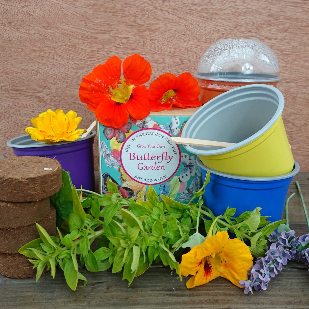 Butterfly Garden Grow Kit: Seeds, Pots, and Compost - Etsy UK