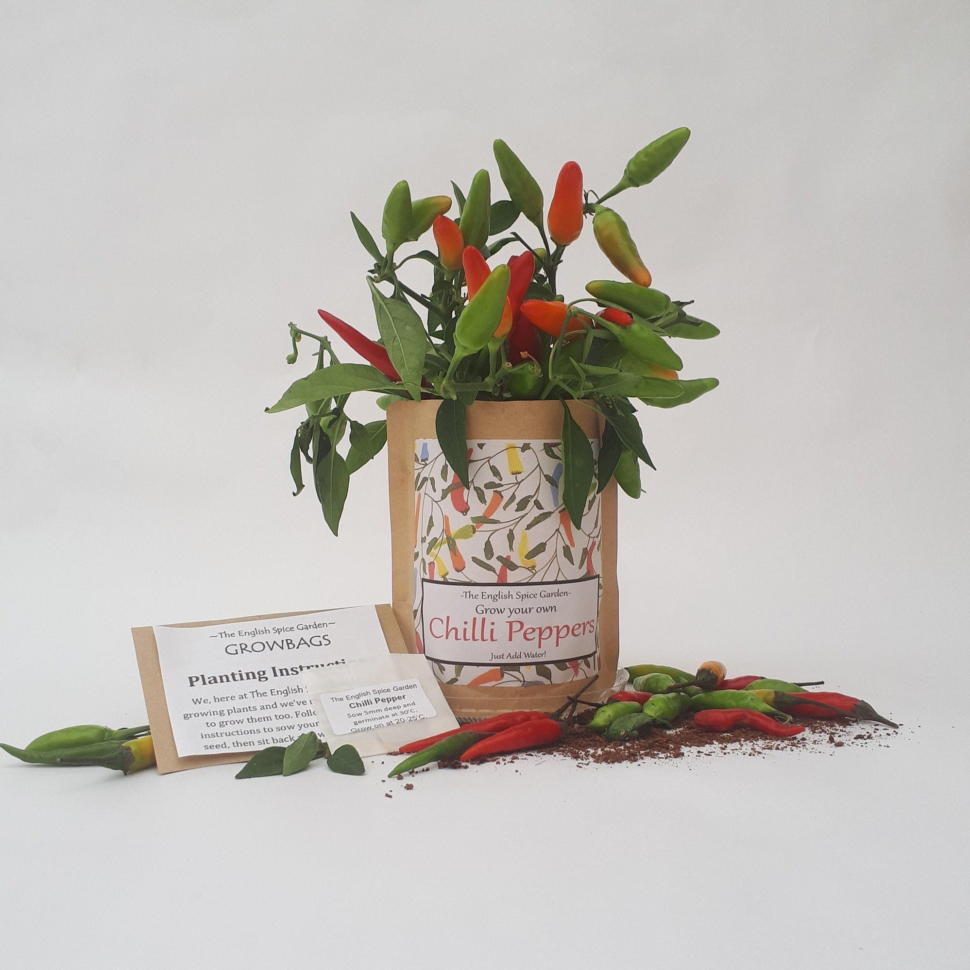 Chilli Plant Grow Kit Year Round Indoors Anytime Party Bags - Etsy UK
