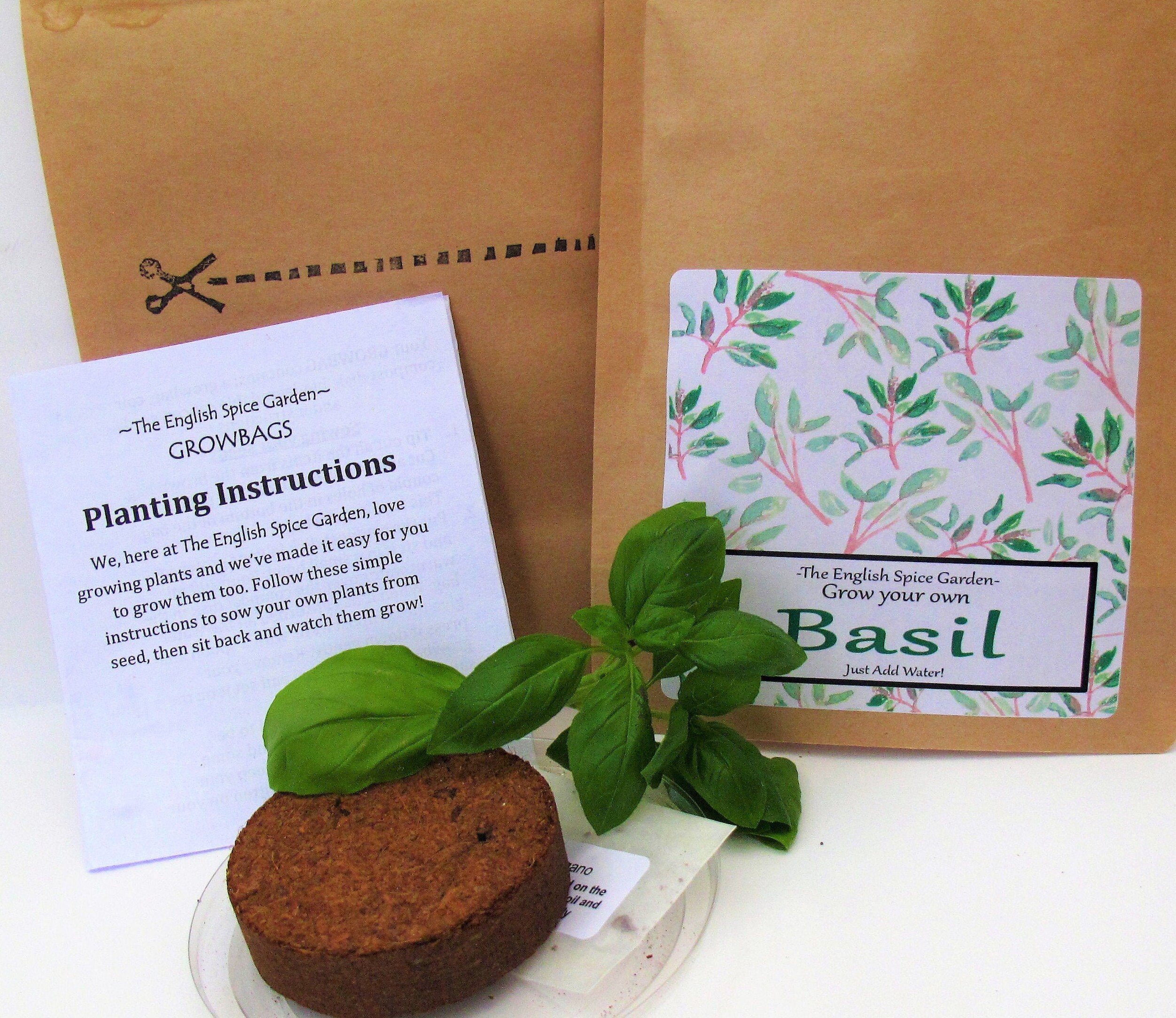Grow Your Own BASIL, Grow Kit, Secret Santa, Stocking Stuffers, Party ...