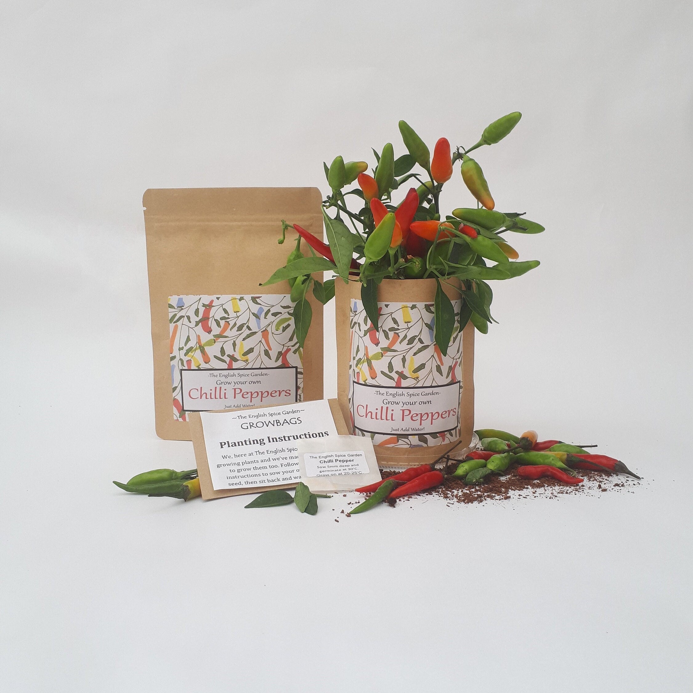 Chilli Plant Grow Kit Year Round Indoors Anytime Party Bags - Etsy UK