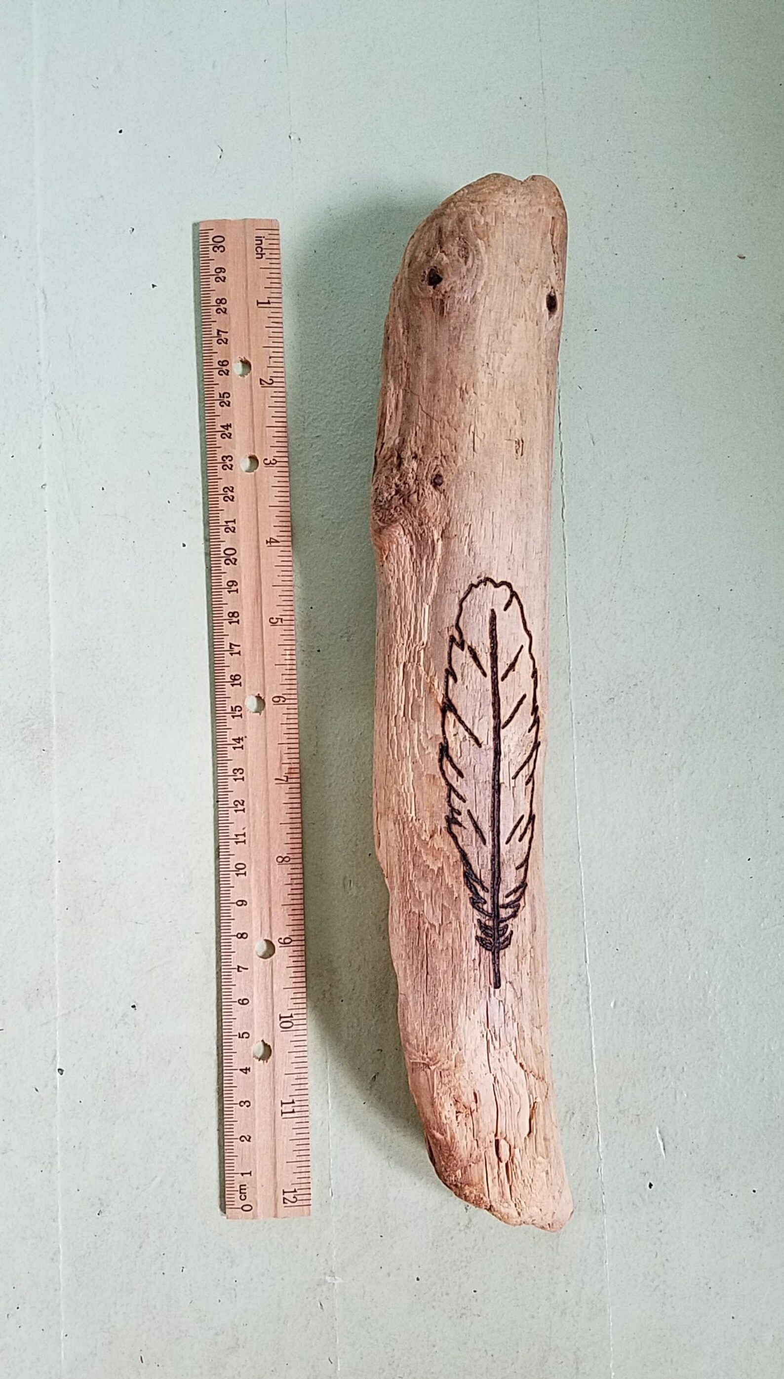 Feather Driftwood Art Wood Burning With Modern Simple Pyrography ...