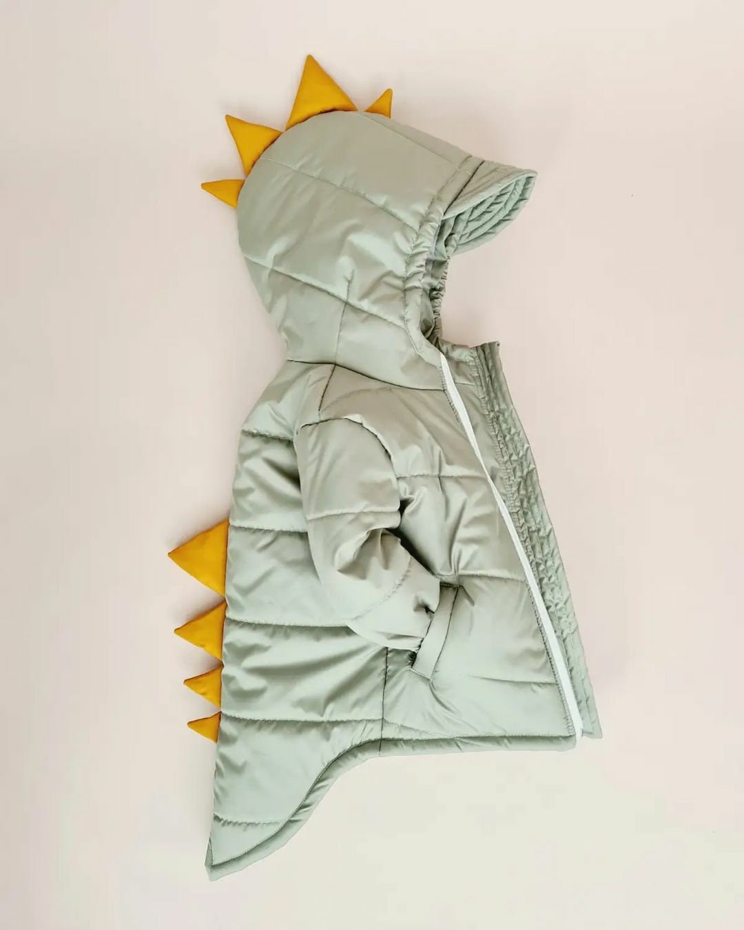 Olive Dino Kids Jacket Dinosaur Clothes for Kids Girl Boy Gift Idea ...