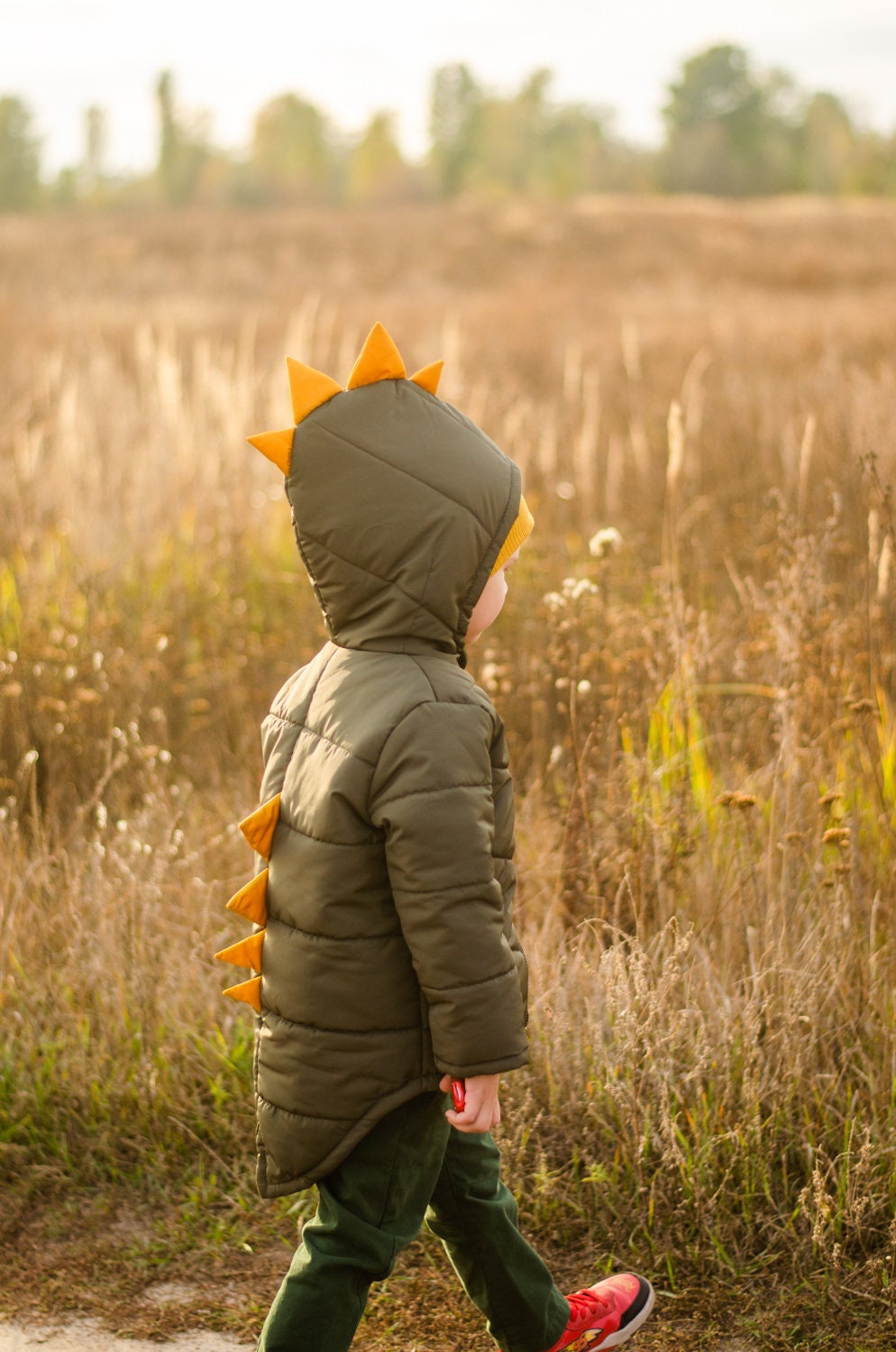 Khaki Dino Jacket, Dinosaur Clothes, Jacket Outwear for Boy Girl ...