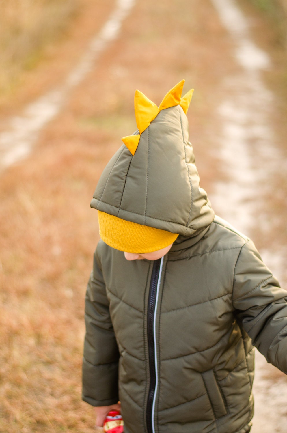 Khaki Dino Jacket, Dinosaur Clothes, Jacket Outwear for Boy Girl ...