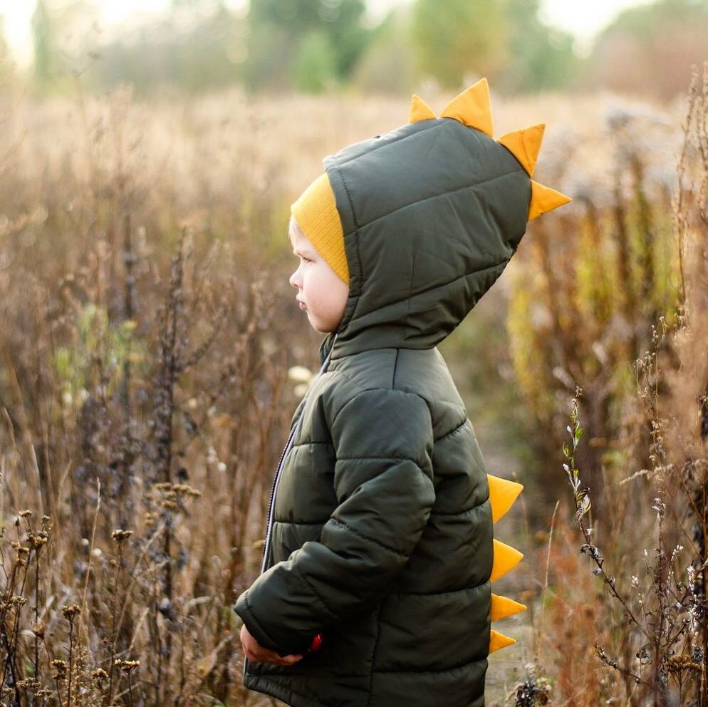 Khaki Dino Jacket, Dinosaur Clothes, Jacket Outwear for Boy Girl ...