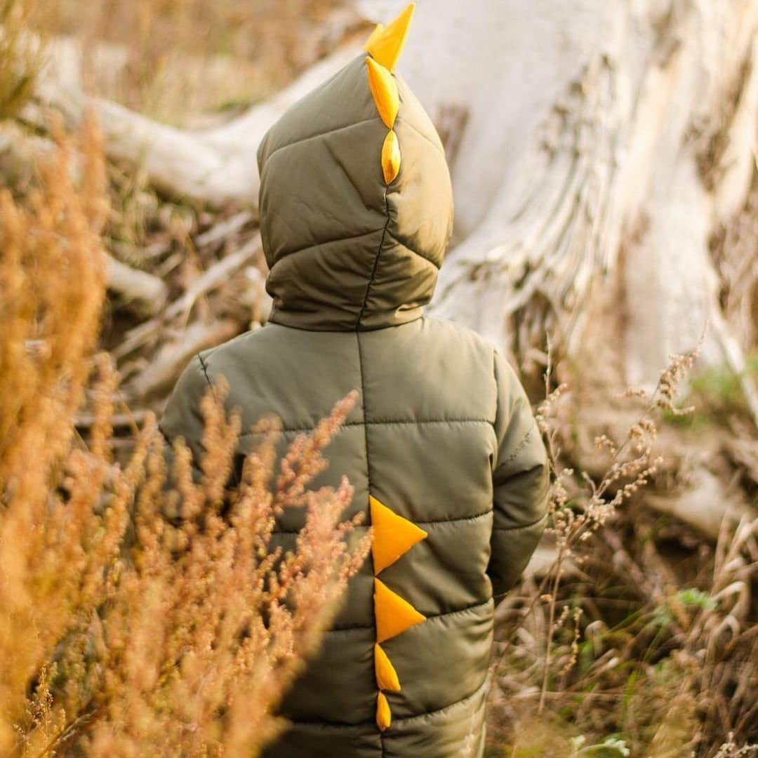 Khaki Dino Jacket, Dinosaur Clothes, Jacket Outwear for Boy Girl ...