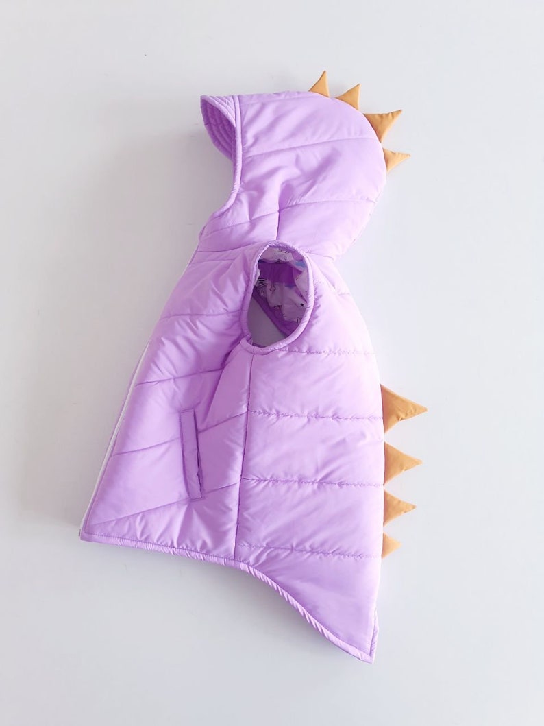 Lavender Dino Vest for Kids Spring Jacket Toddler Hoodie Dragon Costume ...