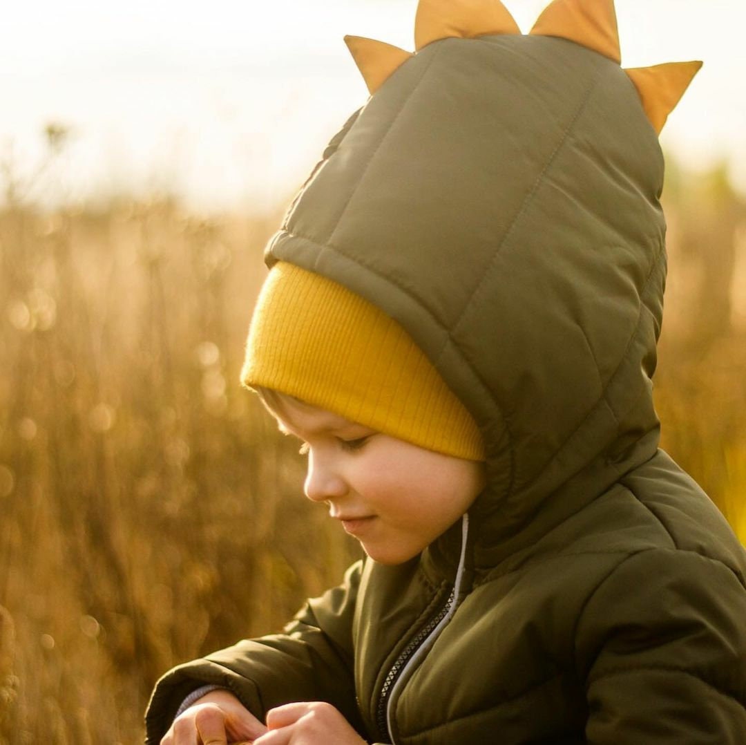 Khaki Dino Jacket, Dinosaur Clothes, Jacket Outwear for Boy Girl ...