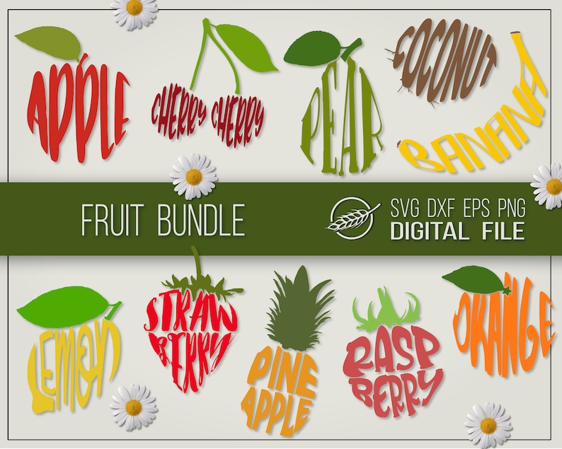 Fruit Bundle, 10 Designs, SVG Cut Files - Etsy
