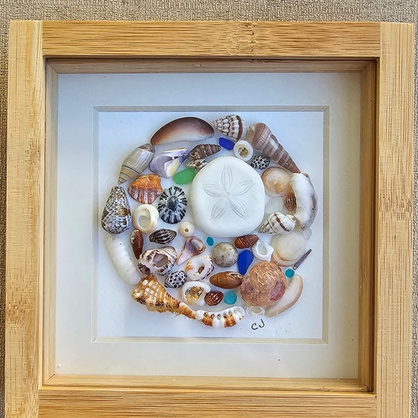 Sea Shells Framed - Etsy