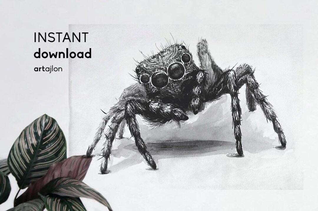 Instant Download Jumping Spider Art Print From Original - Etsy