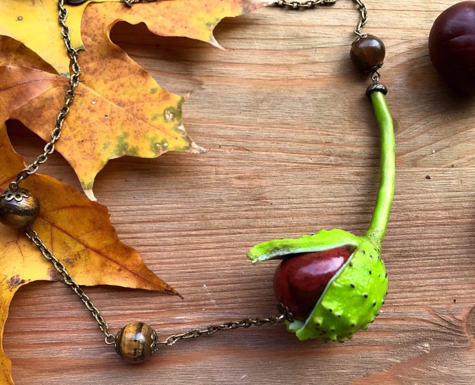 Conkers Chestnut Necklace Tiny Chain Necklace With Tiger Eye - Etsy