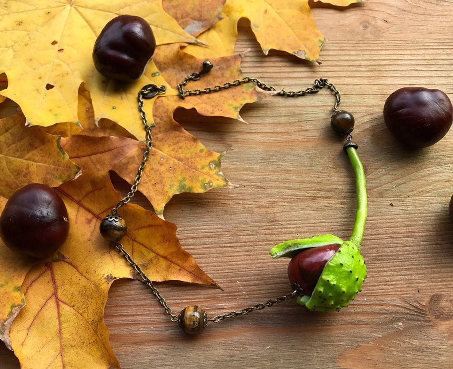 Conkers Chestnut Necklace Tiny Chain Necklace With Tiger Eye - Etsy