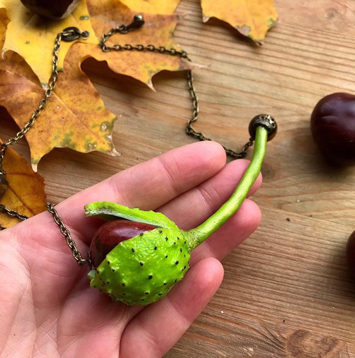 Conkers Chestnut Necklace Tiny Chain Necklace With Tiger Eye - Etsy