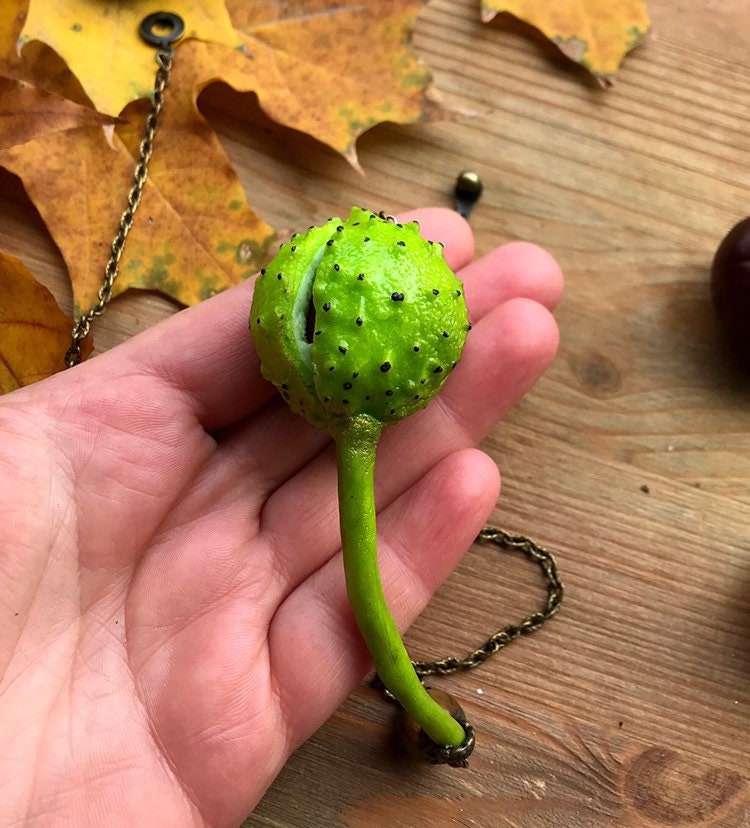 Conkers Chestnut Necklace Tiny Chain Necklace With Tiger Eye - Etsy