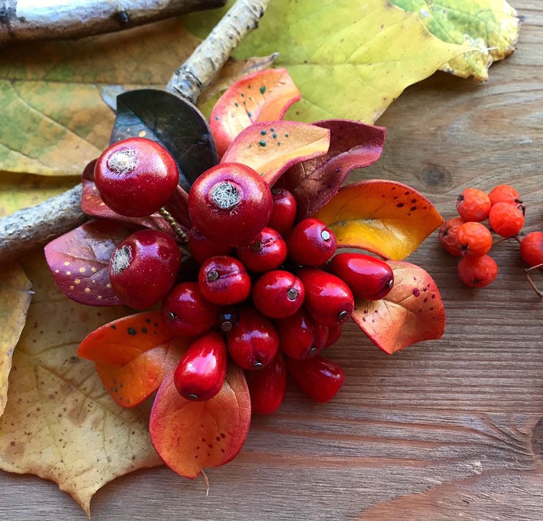 Fall Autumn Berry Brooch Fall Color Jewelry Dogwood Rosehip | Etsy