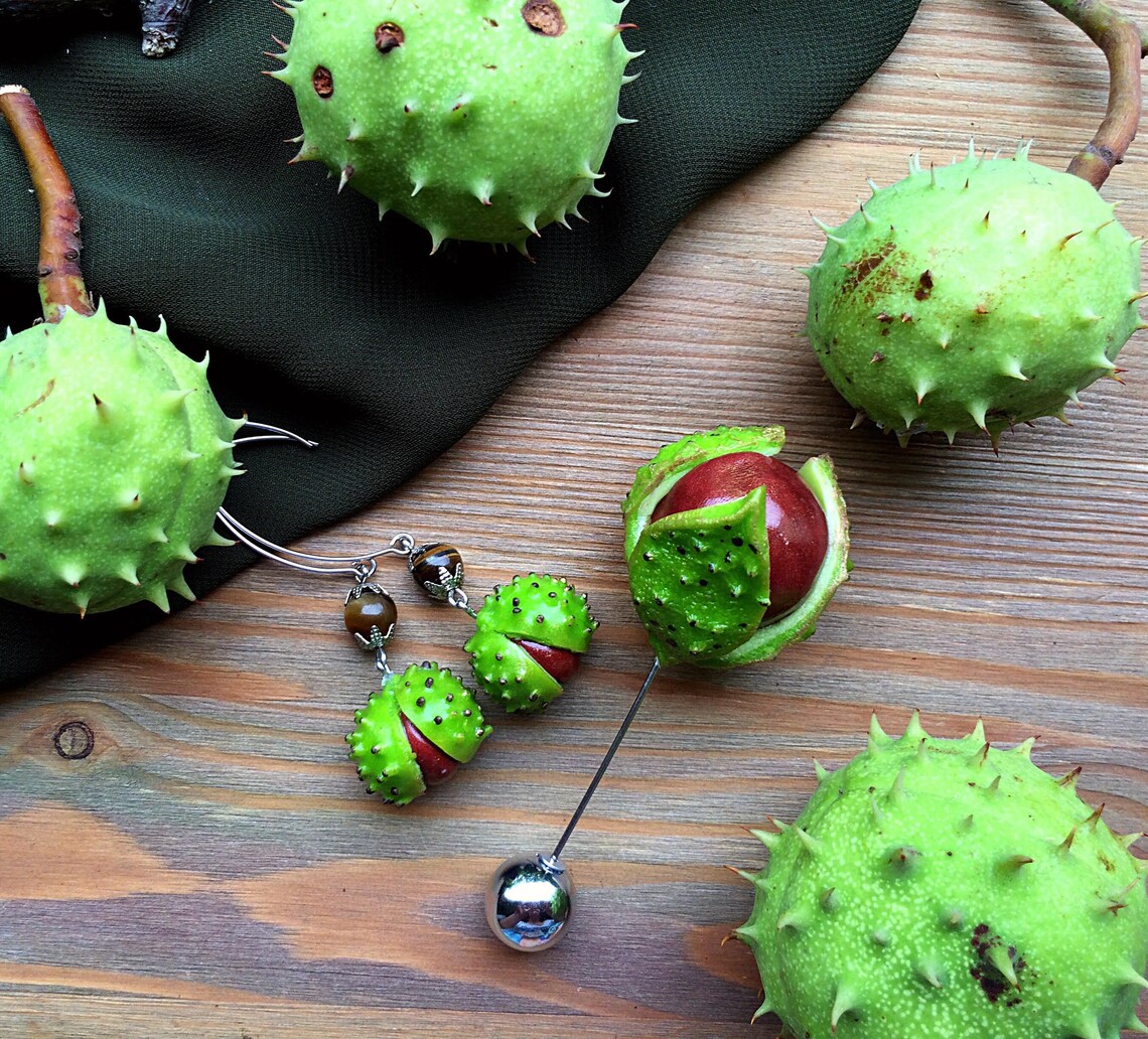 Conker Buckeye Chestnut brooch Pin Closure & Earrings Fall | Etsy