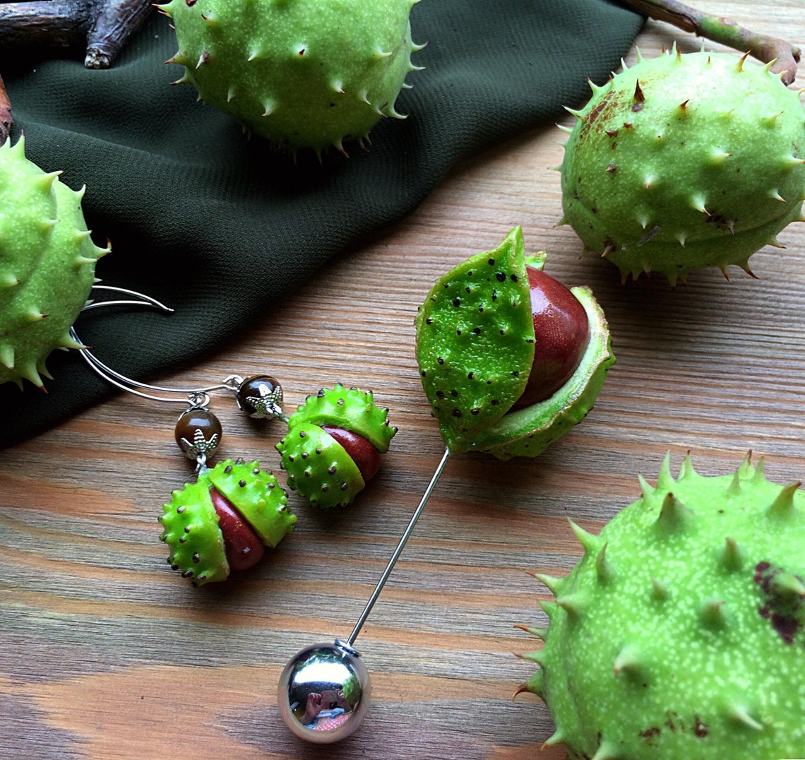 Conker Buckeye Chestnut Brooch Pin Closure & Earrings Fall - Etsy