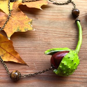 Conkers Chestnut Necklace Tiny Chain Necklace With Tiger Eye Buckeye ...
