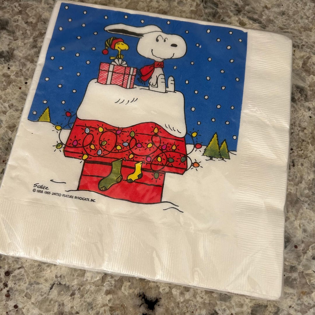 Vintage but New in Package Snoopy & Woodstock Christmas Large Dinner ...