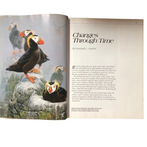 The Birds Around Us Hardcover Book Ortho Books Alice E Mace Bird ...