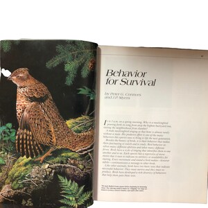 The Birds Around Us Hardcover Book Ortho Books Alice E Mace Bird ...