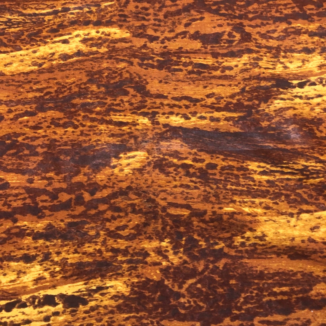 Brown Bear Brown Bear Texture Brown Cotton Fabric Eric Carle Andover ...