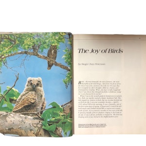 The Birds Around Us Hardcover Book Ortho Books Alice E Mace Bird ...