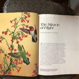 The Birds Around Us Hardcover Book Ortho Books Alice E Mace Bird ...